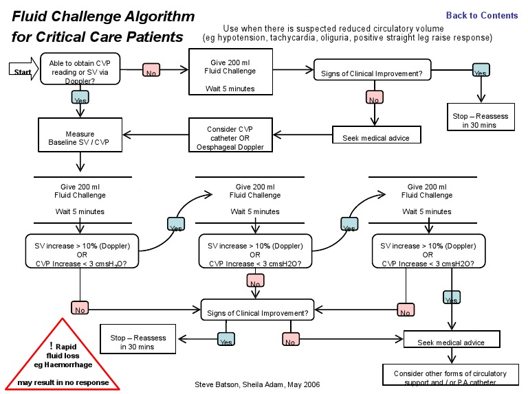 Fluid Challenge Algorithm - 2006 | PDF | Health Sciences | Health Care