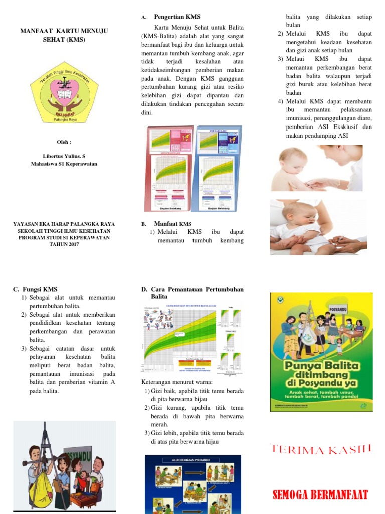 3 Leaflet Kms | PDF