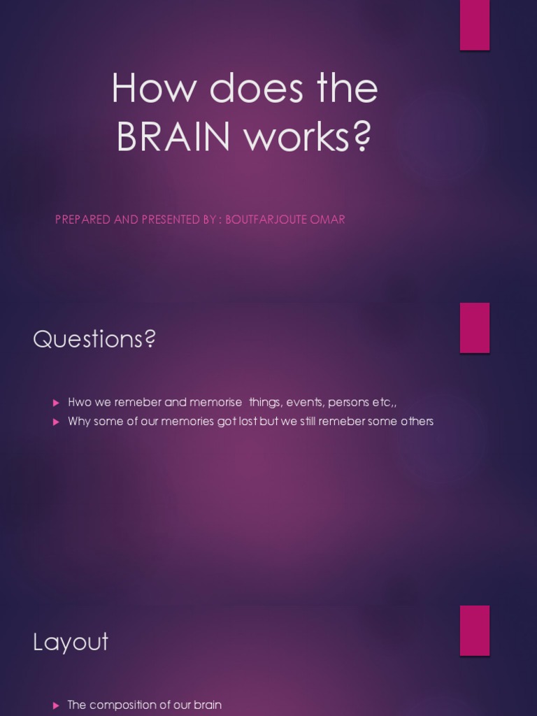 How Does The BRAIN Works | PDF | Spinal Cord | Brain