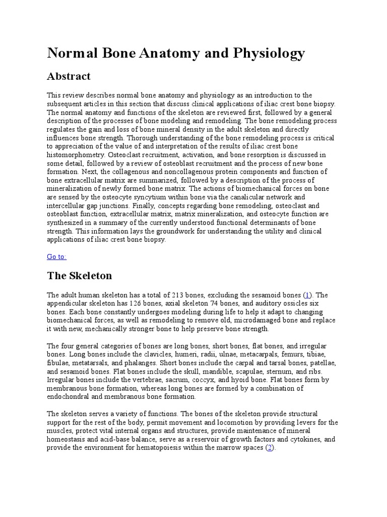 Normal Bone Anatomy and Physiology: Go To | PDF | Osteoblast | Bone
