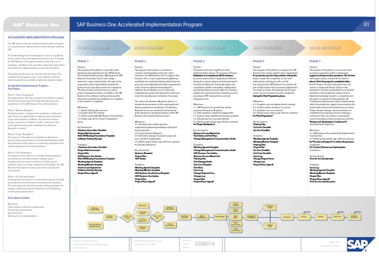 AIP A3 - SAP Business One | PDF | Implementation | Business Process