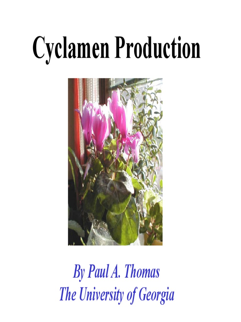 Cyclamen | PDF | Germination | Seedling