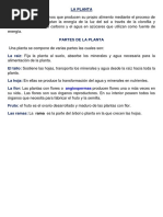 Acróstico de la Bandera Peruana | PDF