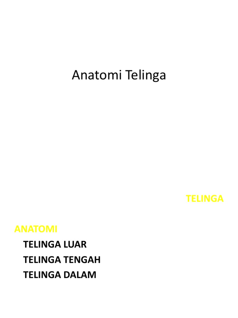 Anatomy of the Ear | PDF