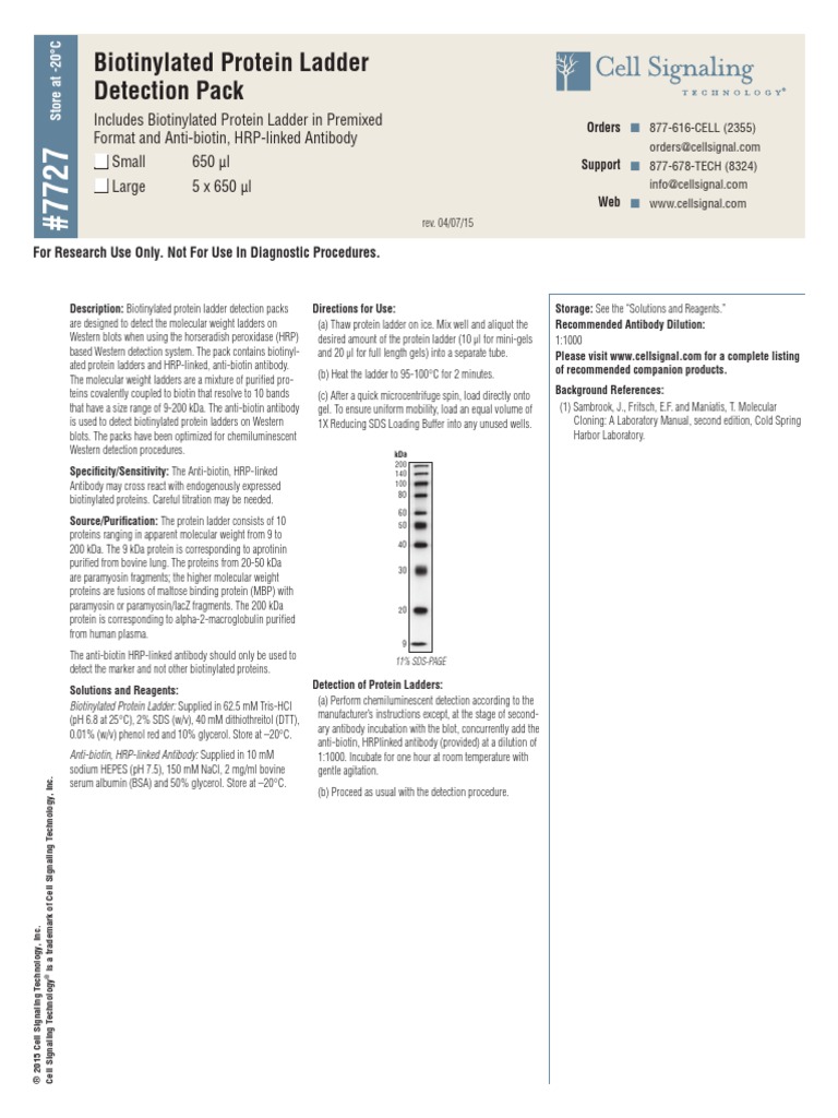 Biotinylated Protein Ladder Detection Pack | PDF | Personal Protective ...