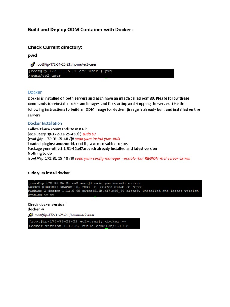 Build and Deploy ODM Container With Docker | PDF | Databases | System ...