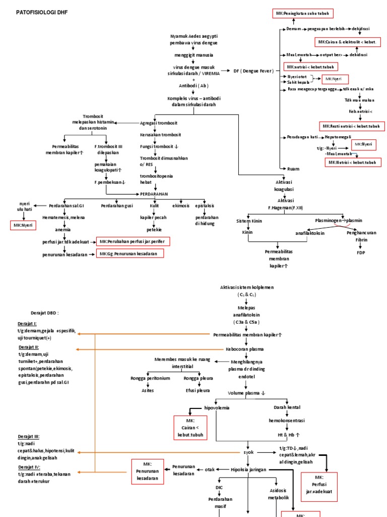 Patofisiologi Dengue Hemorrhagic Fever | PDF