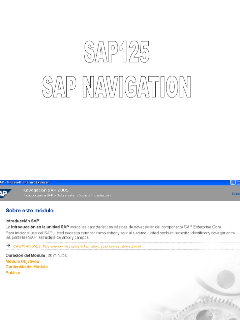 1 SAP125 SAP Navigation | PDF