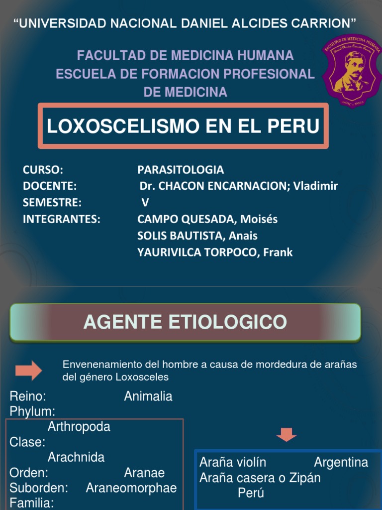 Loxoscelismo: Picaduras y Tratamiento | PDF | Araña | Medicina CLINICA