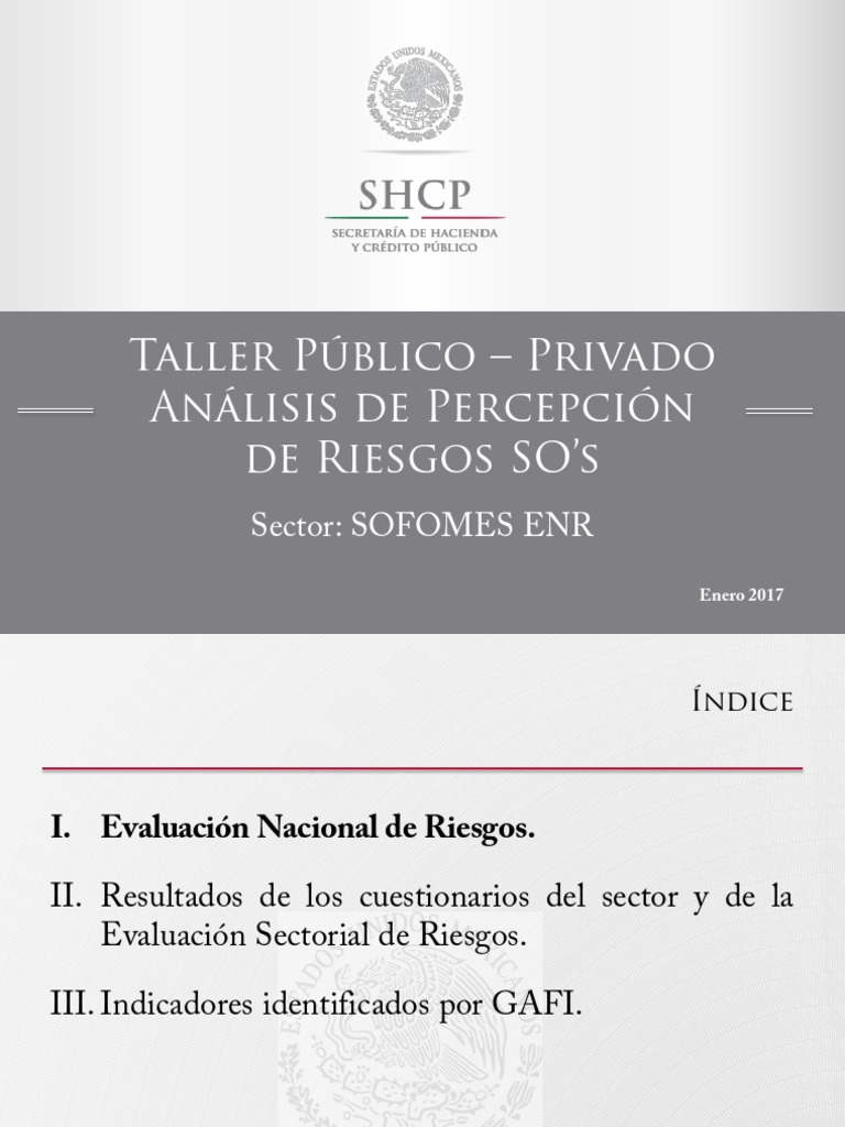 Taller Análisis de Percepción de Riesgos (SOFOMES ENR) | PDF | Bancos ...