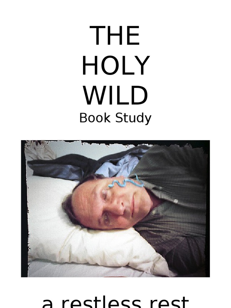 Holy Wild Book Study Guide | PDF | God | Religious Behaviour And Experience