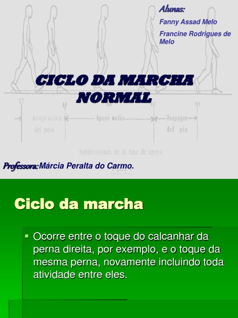 Ciclo Da Marcha | PDF | Joelho | Sistema Locomotor
