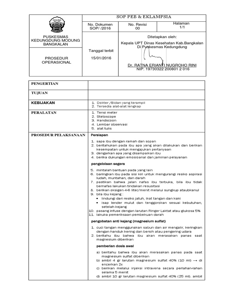 Sop Peb & Eklampsia | PDF