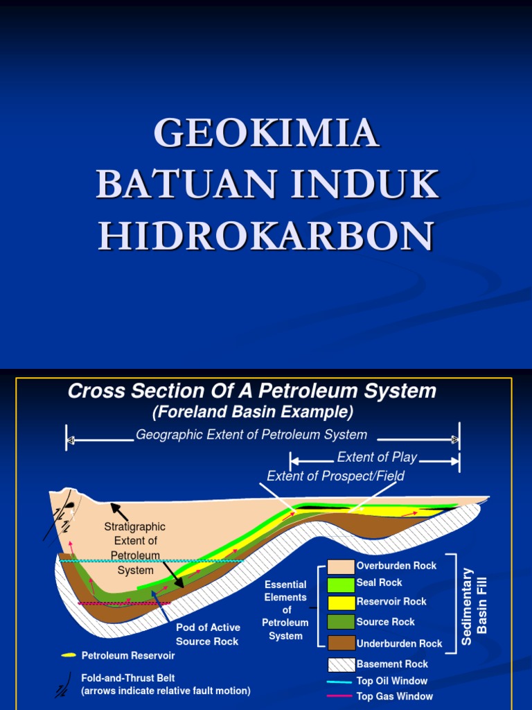 1. Geokimia Batuan Induk Ok