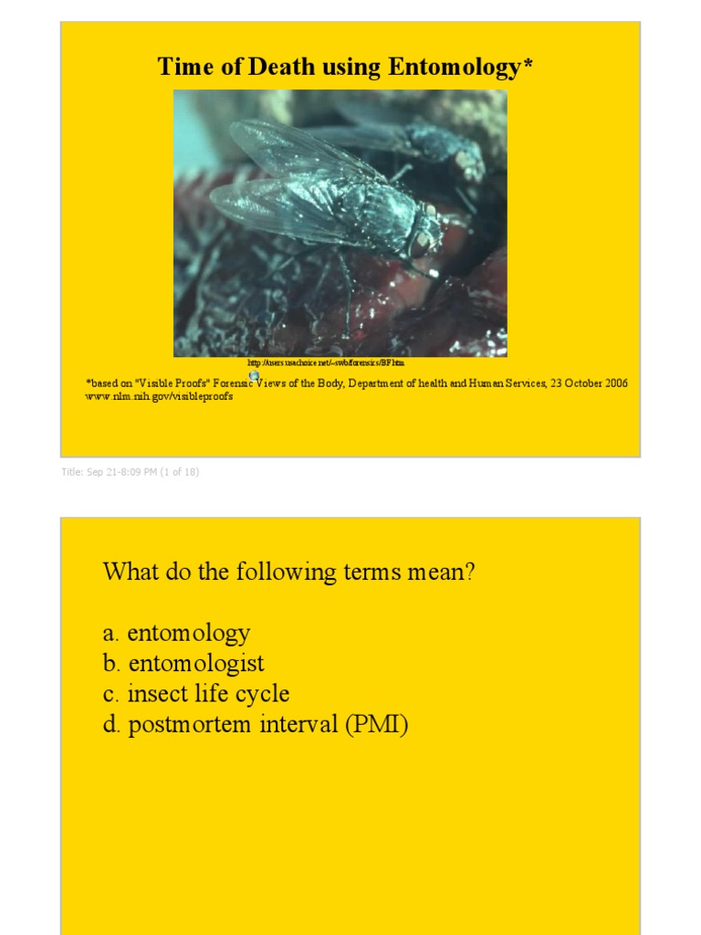 PredictingTime of Death Using Entomology | PDF | Insects And Humans ...