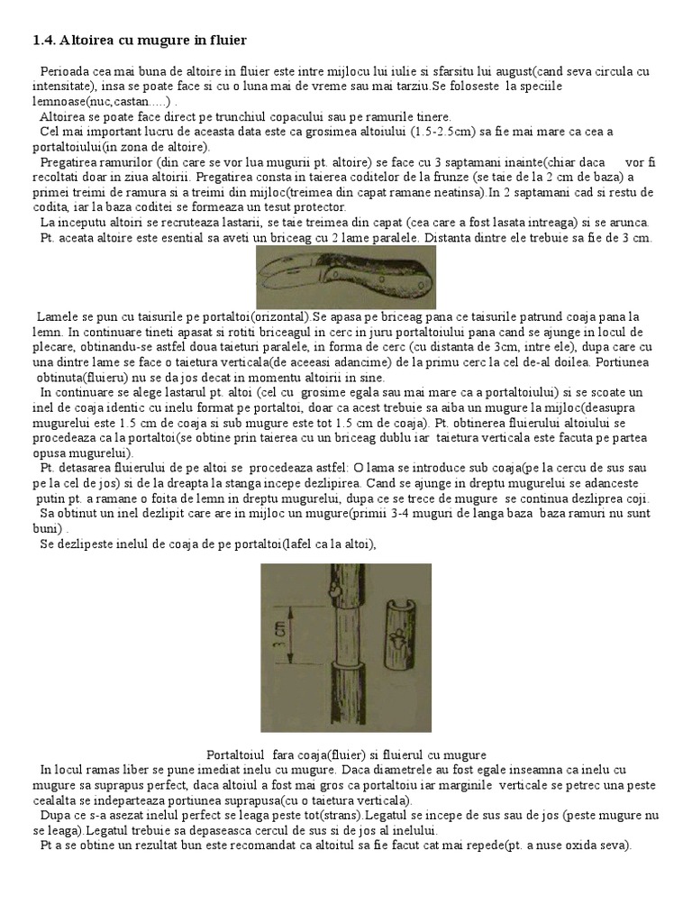 Altoire Nuc Cu Mugure in Fluier | PDF