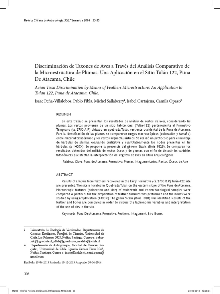 Microestructura de Plumas | PDF | Aves | Pluma