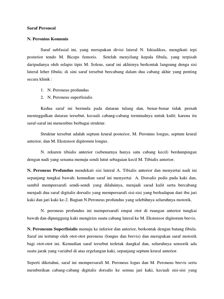 Saraf Peroneal | PDF