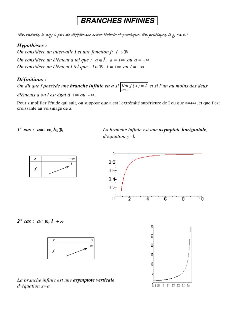 Branches Infinies | PDF | Asymptote | Analyse mathématique