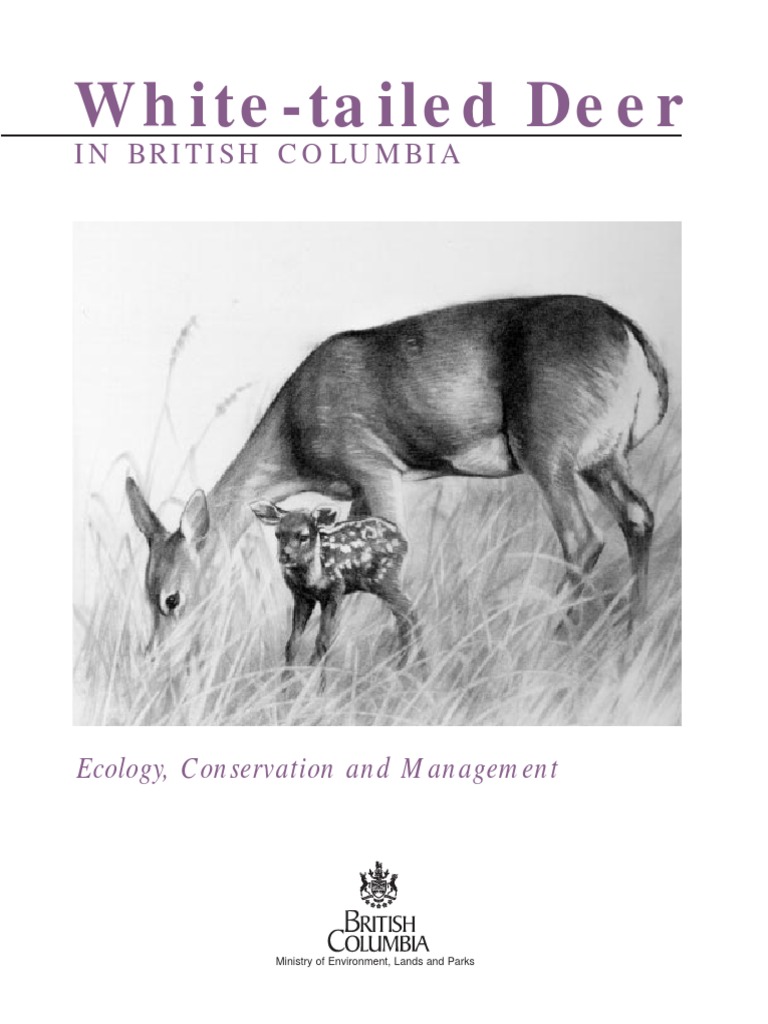 White-Tailed Deer: in British Columbia | PDF | White Tailed Deer | Deer