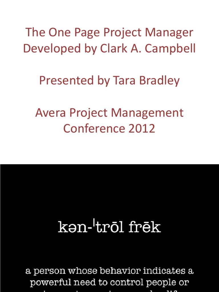 The One - Page Project Manager | PDF | Business | Economies