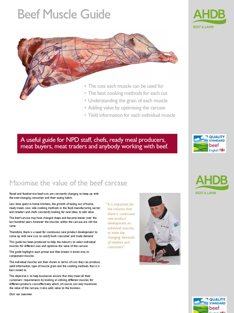 Beef Muscle Guide | PDF | Beef | Steak