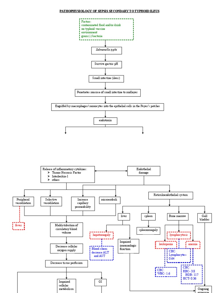 Pa Tho Physiology of Sepsis Secondary To Typhoid Ileus | PDF ...