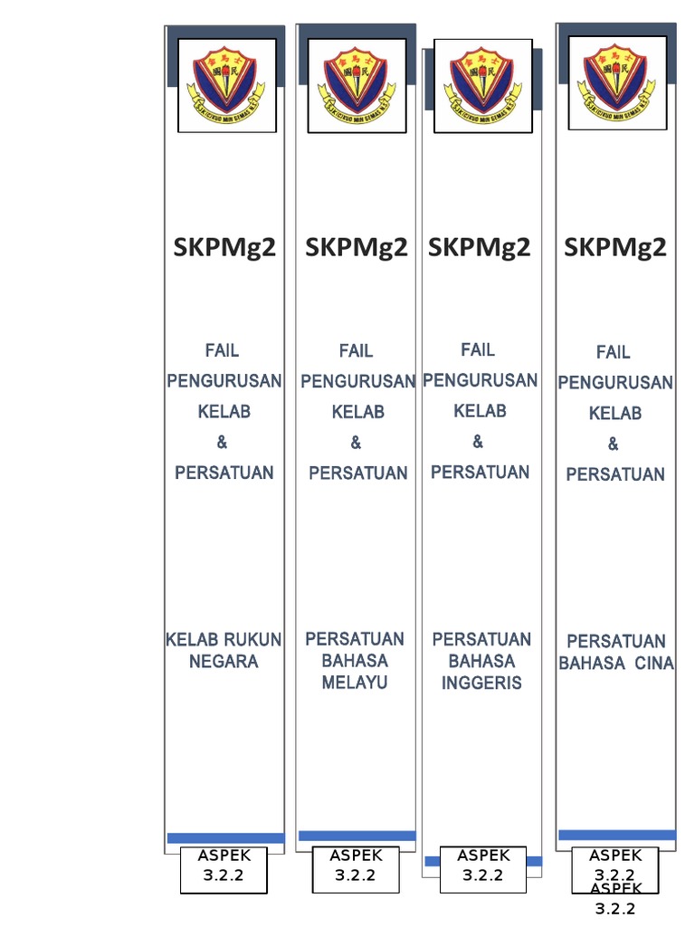 Side Partician Fail Skpmg2 3.2.2 | PDF