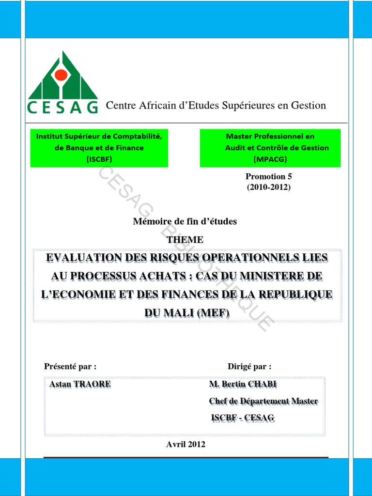 Evaluations Du Processus Achat | PDF | Risque | Audit
