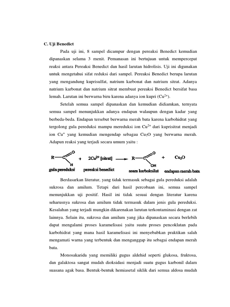 Analisis Data Uji Benedict | PDF
