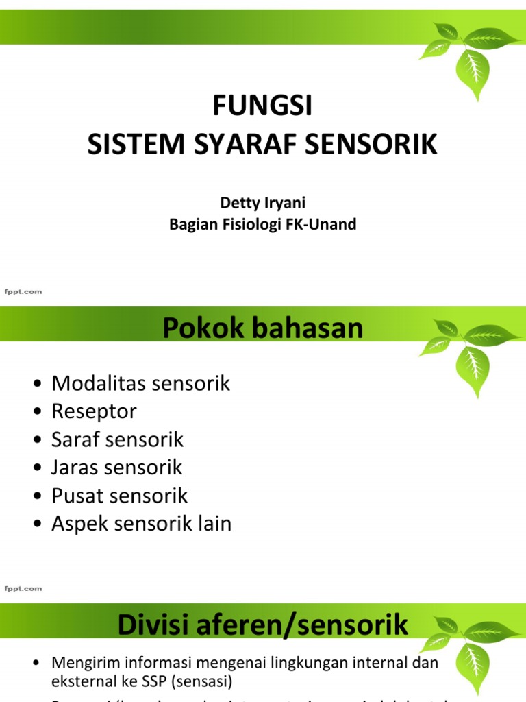 1.2.3.6 - Fisiologi Sistem Saraf Sensorik | PDF