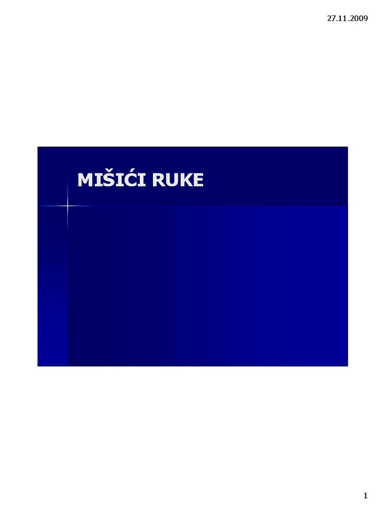Misici Ruke | PDF