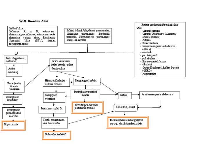 WOC Bronkitis Akut | PDF