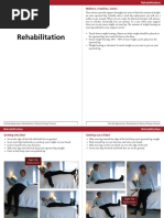 Cat FAS and Frustration Management Guide | PDF
