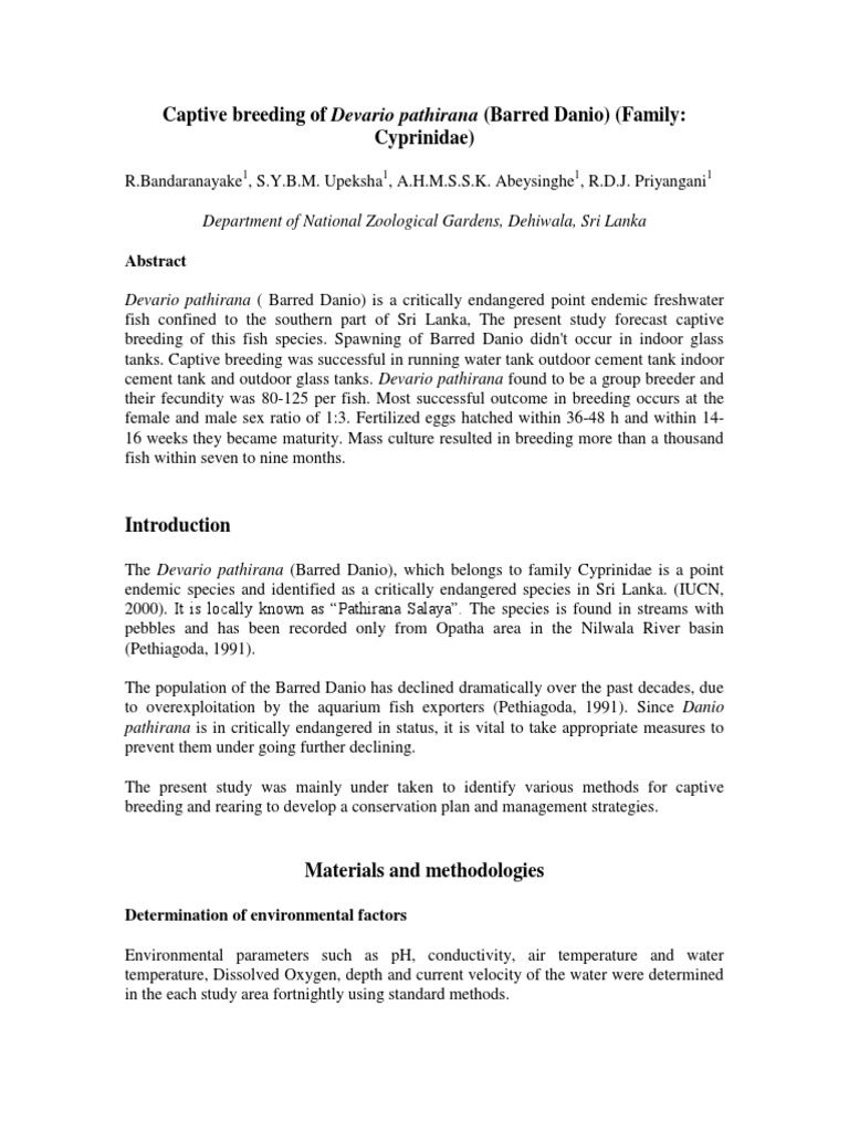 Captive Breeding of Devario Pathirana (Barred Danio) (Family ...