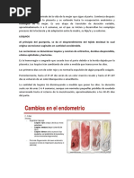 AMNIORREXIS | PDF | Parto | Embarazo humano