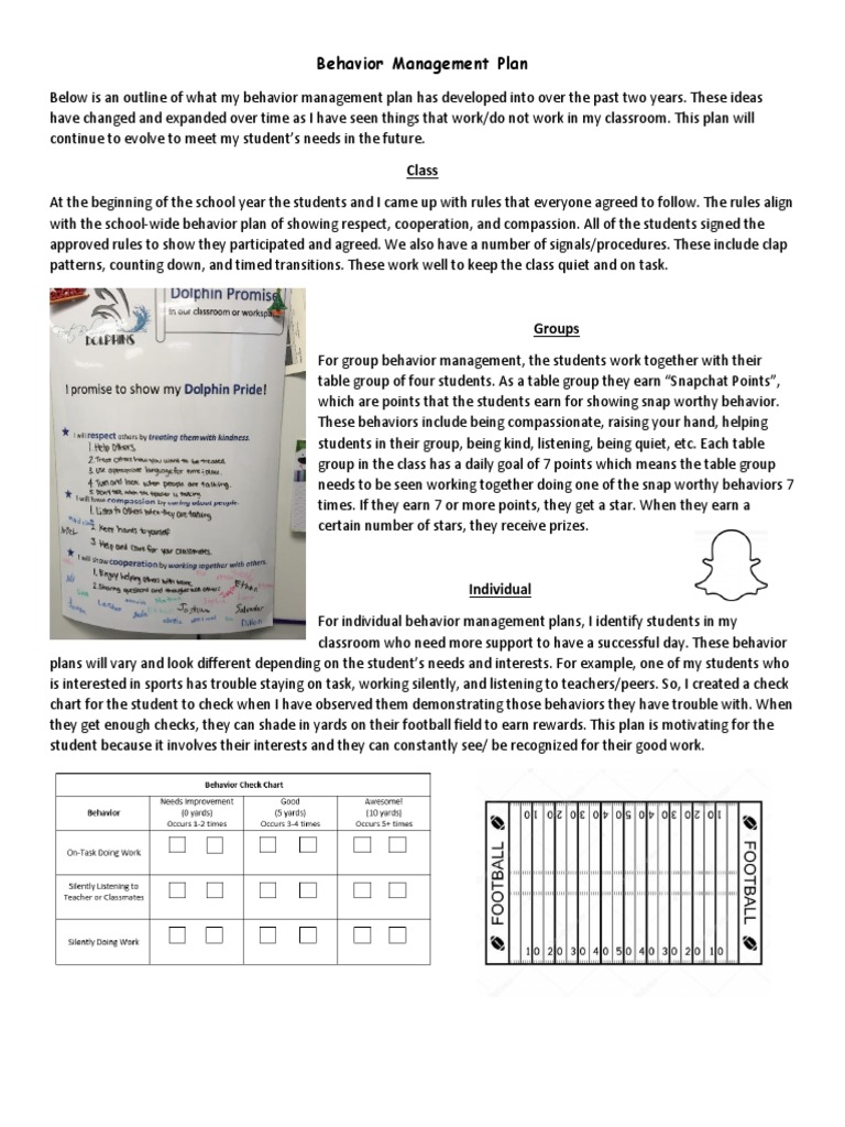 Behavior Management Plan | PDF | Action (Philosophy) | Emergence