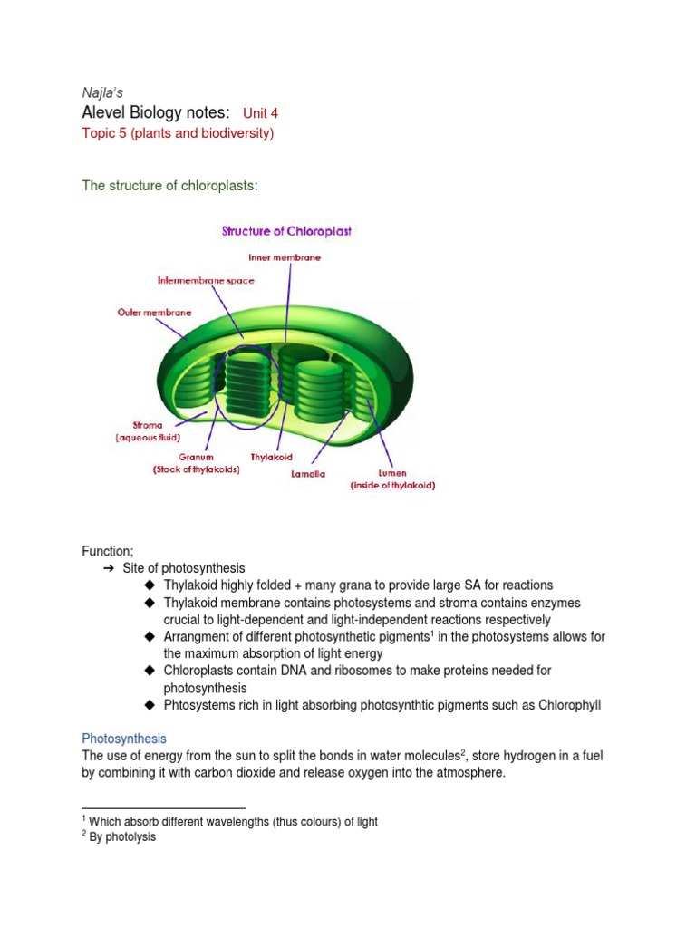A Level Biology Notes - Unit 4 (Edexcel) | Download Free PDF ...