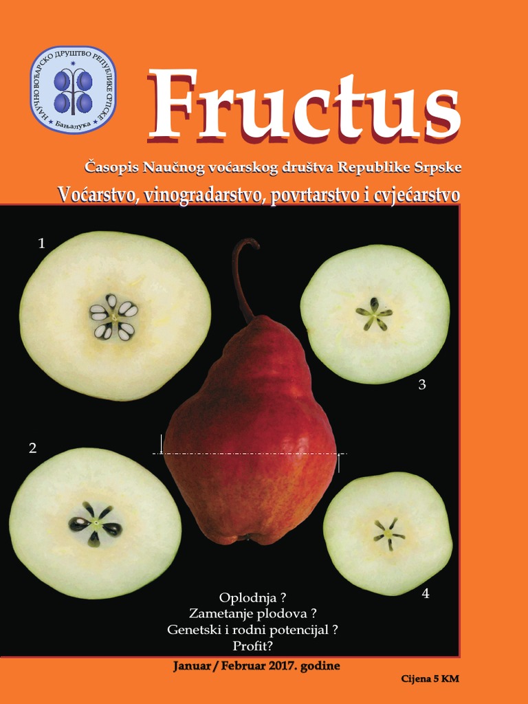 Fructus 2 | PDF