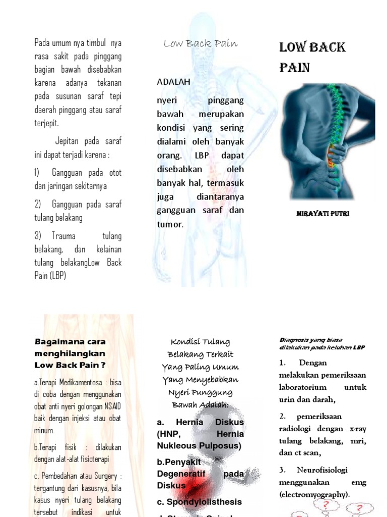 Low Back Pain | PDF