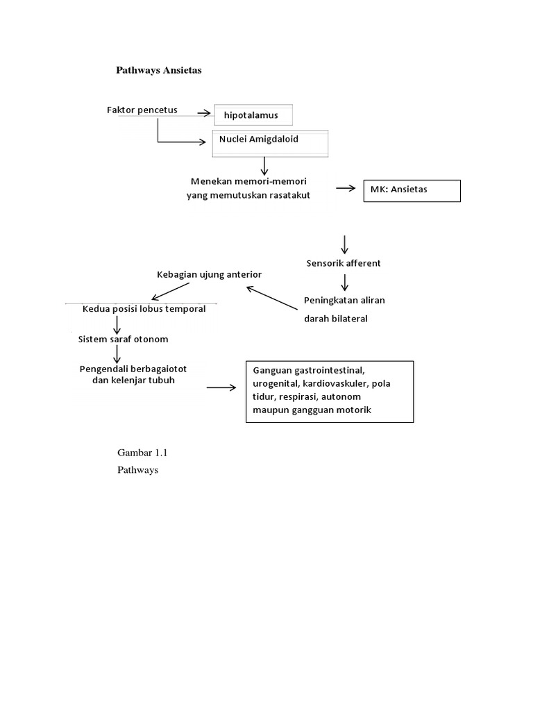 Pathways Ansietas | PDF