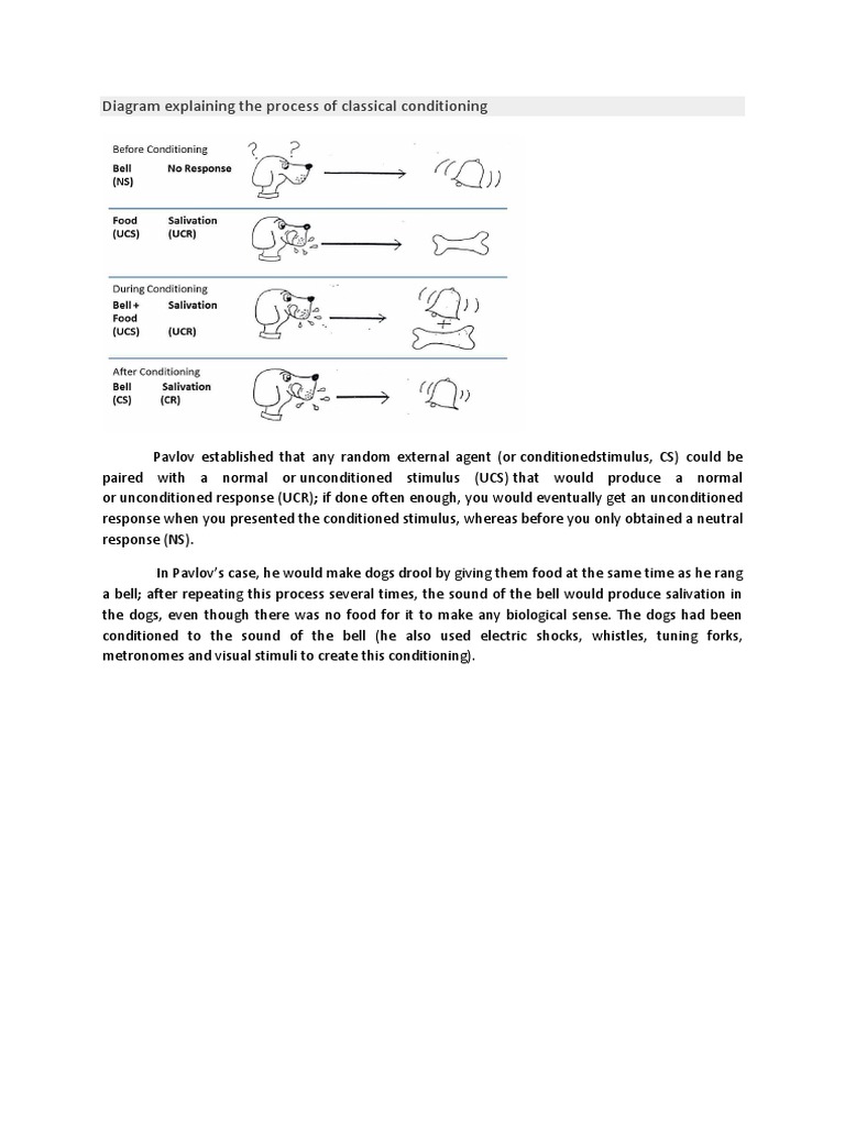 Diagram Explaining The Process of Classical Conditioning | PDF | Self ...