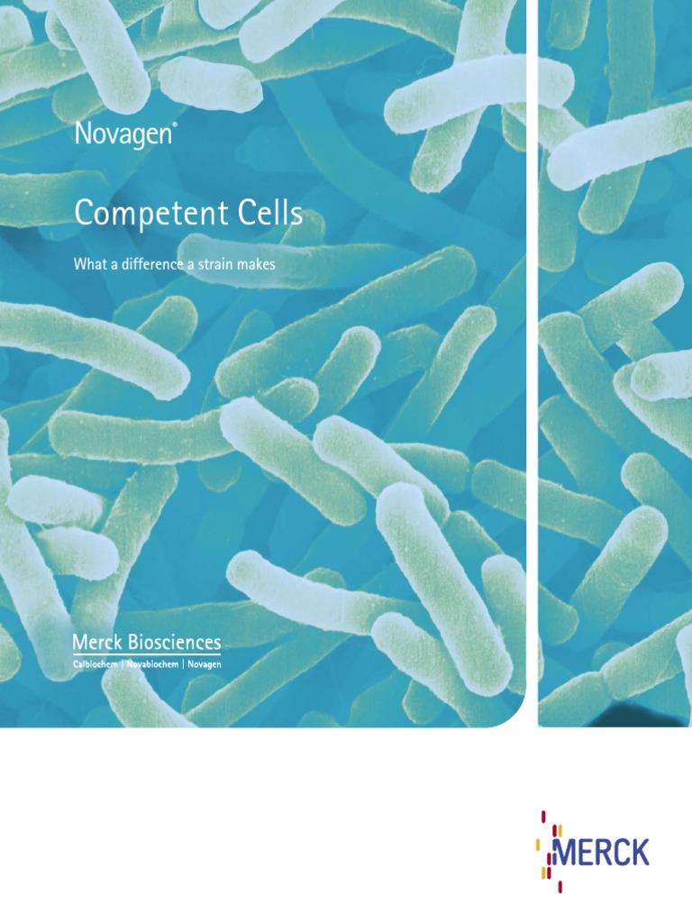 Novagen Competent Cells Brochure | PDF | Transformation (Genetics ...