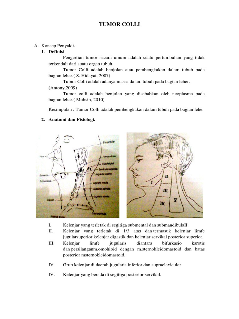 Tumor Colli | PDF