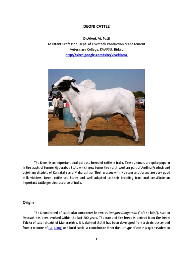 Deoni Cattle | PDF | Cattle | Food Industry