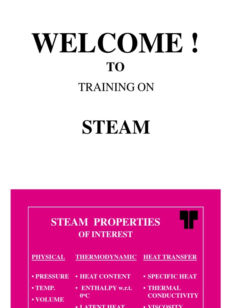 Steam Basics | PDF | Steam | Heat Transfer
