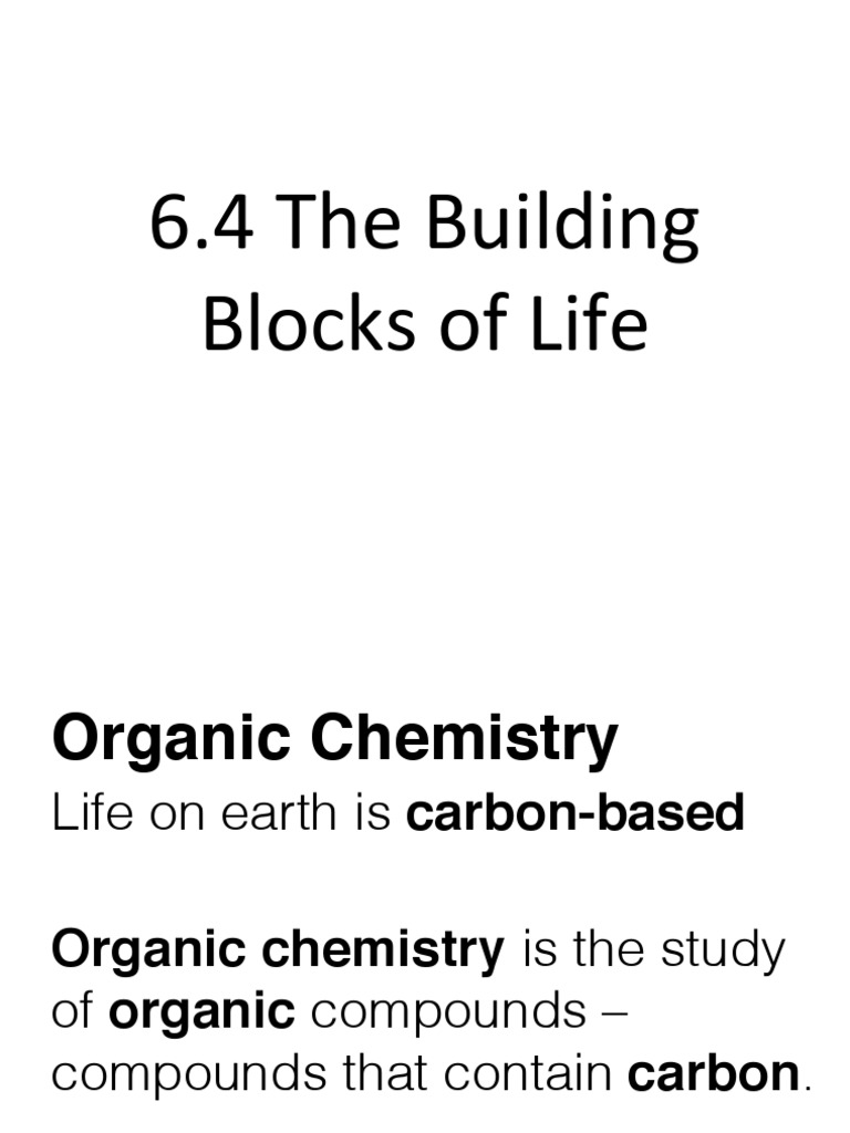 CH 6-4 - Building Blocks of Life | PDF | Carbohydrates | Lipid