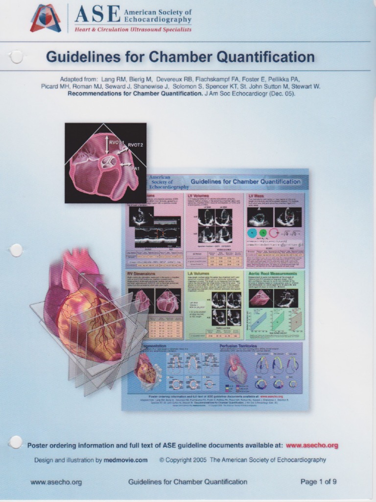 ASE-Reference-Book (1).pdf | Echocardiography | Ventricle (Heart)