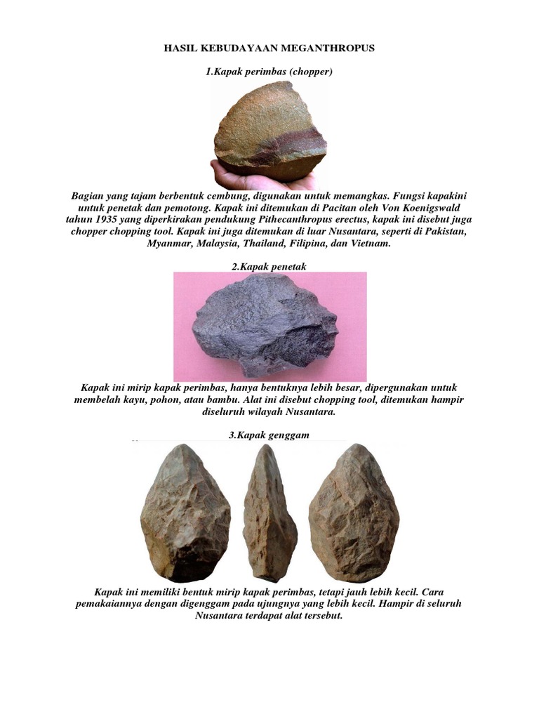 Hasil Kebudayaan Meganthropus | PDF