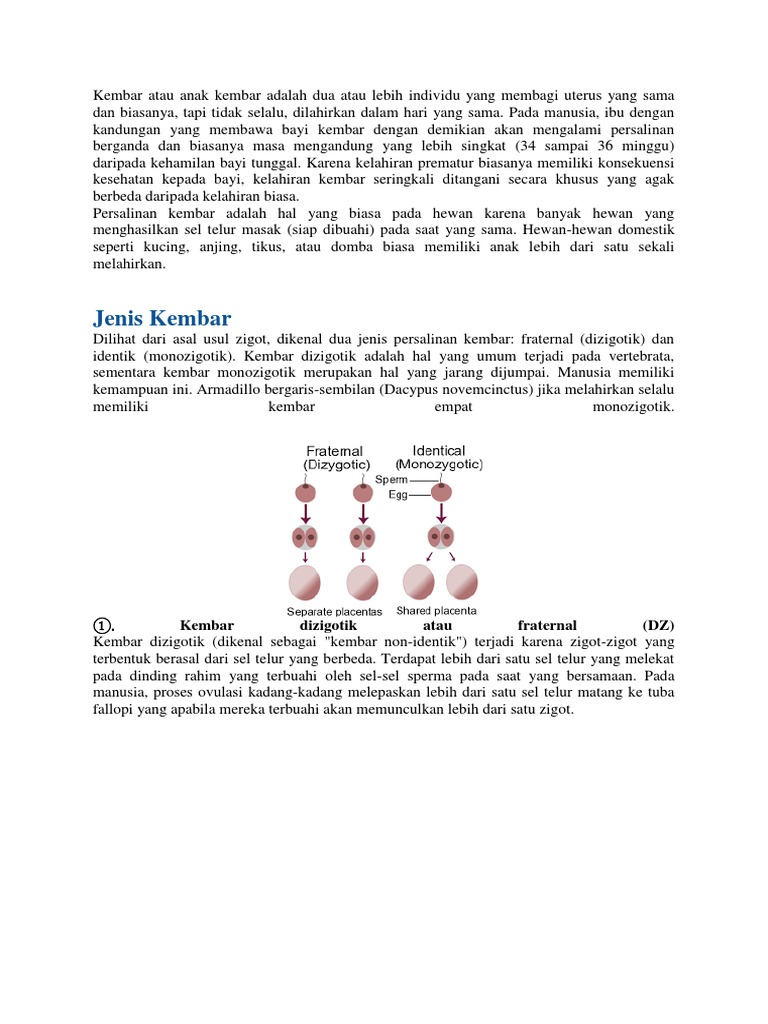 Proses Terjadinya Bayi Kembar | PDF